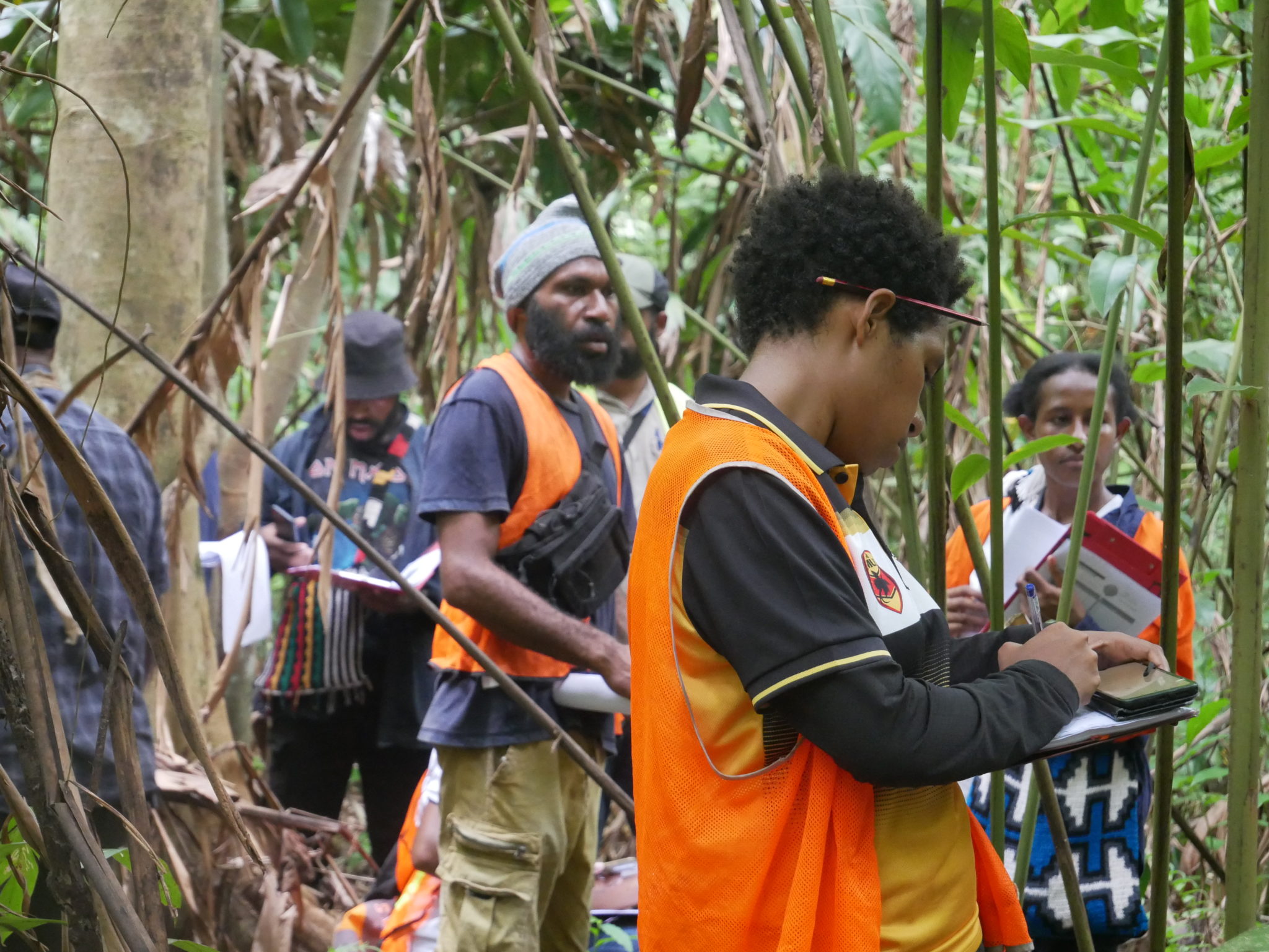 About the Forestry Department