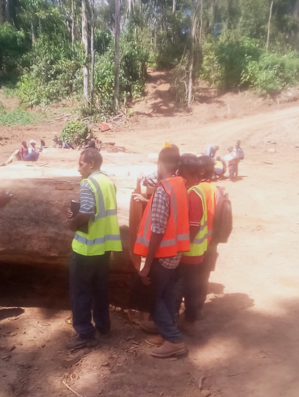 Programs of Bulolo Campus