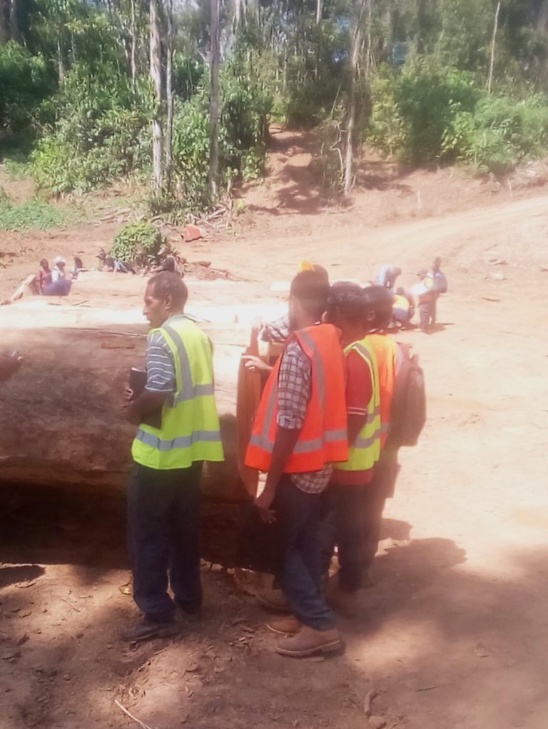 Programs of Bulolo Campus